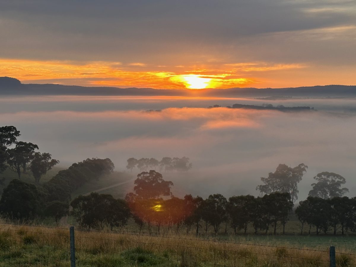 Curraweela - Mode Homes